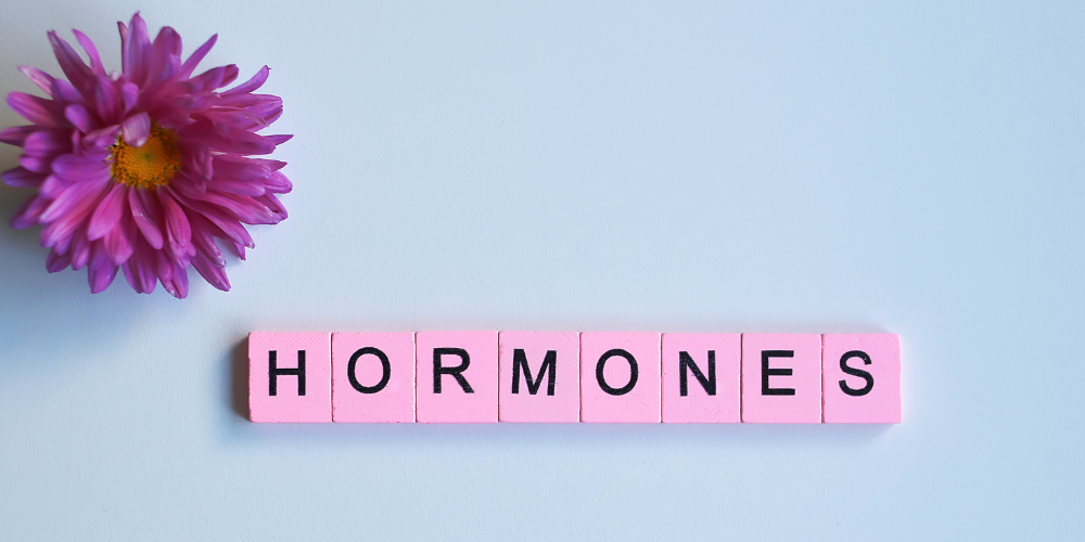 Hormonal Blueprint: What Role Do Hormones Play in the Menstrual Cycle ...
